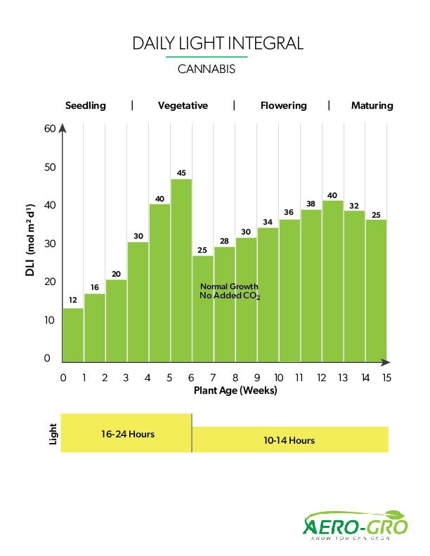 Daily Light Integral (DLI) for Cannabis - Aero-Gro Daily Light Integral (DLI) for Cannabis - Aero-Gro