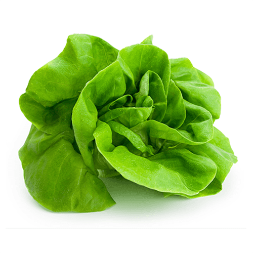 Aero-Gro Organic Seeds - Aero-Gro