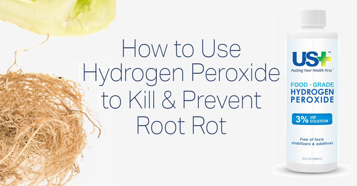 How to Use Hydrogen Peroxide to Prevent and Kill Root Rot - Aero-Gro